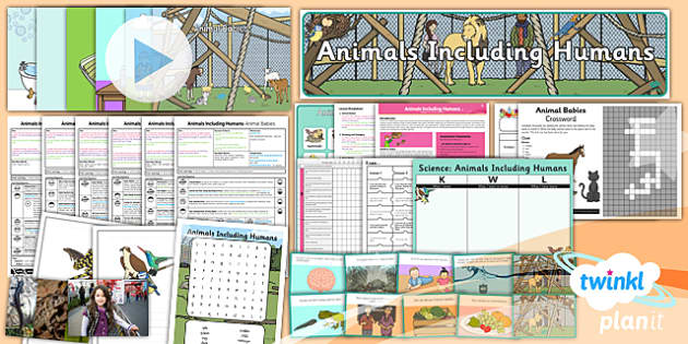 Science: Animals Including Humans Year 2 Unit Pack