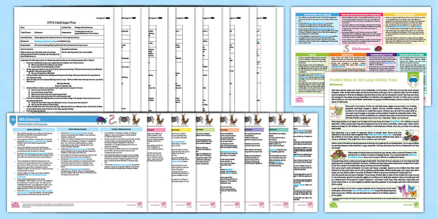 EYFS Ages 3-4 Minibeasts Bumper Planning Pack (teacher made)
