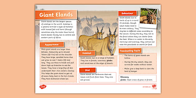 Giant Eland Fact File - Twinkl - KS2 (profesor hizo)