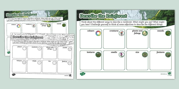 Rainforest Adjectives Worksheet - Twinkl
