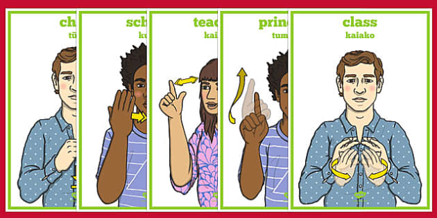 New Zealand Sign Language School Display Posters - Twinkl