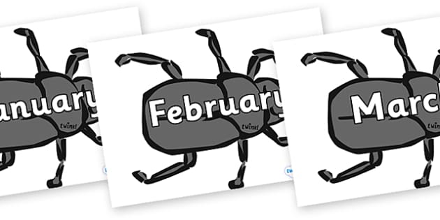 Months of the Year on Beetles (teacher made) - Twinkl