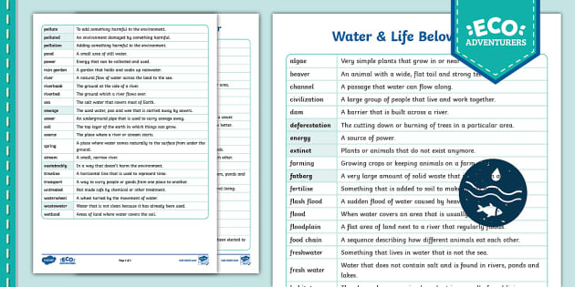 Year 2 Water & Life Below Water: Glossary (teacher made)
