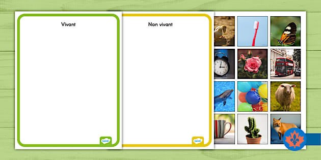 Photo Living and Non-Living Sorting Activity French - Twinkl