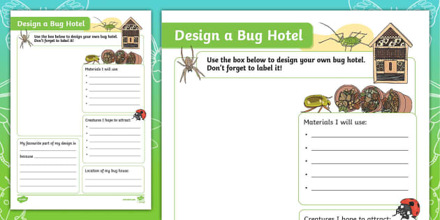 Design a Bug Hotel (teacher made) - Twinkl