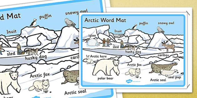 Arctic Scene Word Mat - arctic, vocabulary mat, word mat, key words, topic