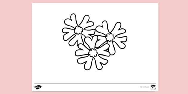 Red Campion Colouring Sheet - Teaching Resources - Twinkl