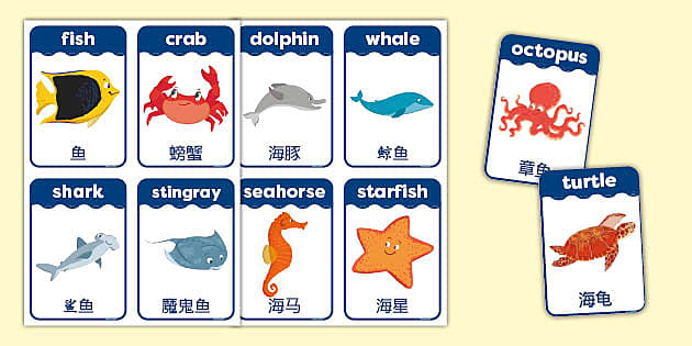 Originals First Words Flashcards: Sea Creatures - Twinkl
