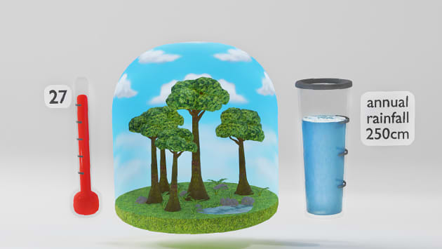 3D Model: Geography - Weather in a Tropical Climate