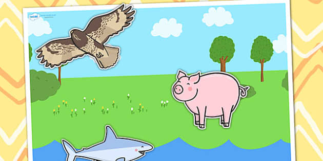 Large Animal Sorting Background (teacher made)