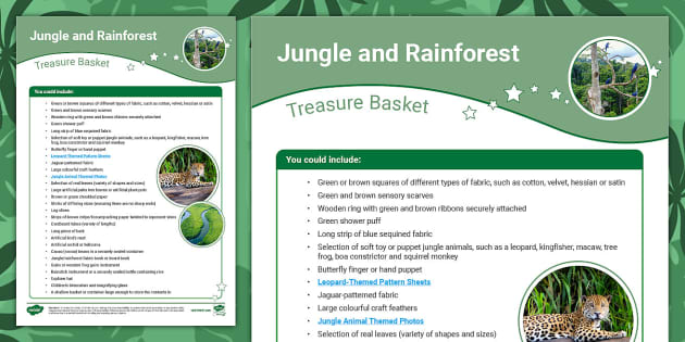 EYFS Jungle and Rainforest Sensory Activity | Twinkl