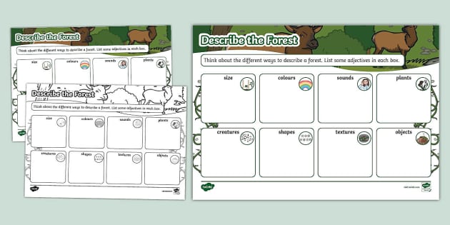 Forest Adjectives Worksheet - Twinkl