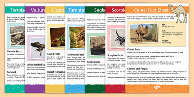 Desert Animals Facts And Pictures Sheets Twinkl Twinkl