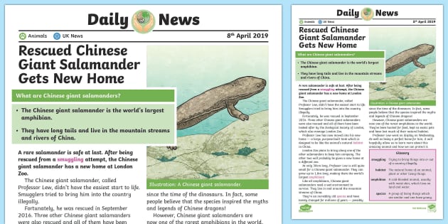 Rescued Salamander Reading Comprehension | Daily News Story