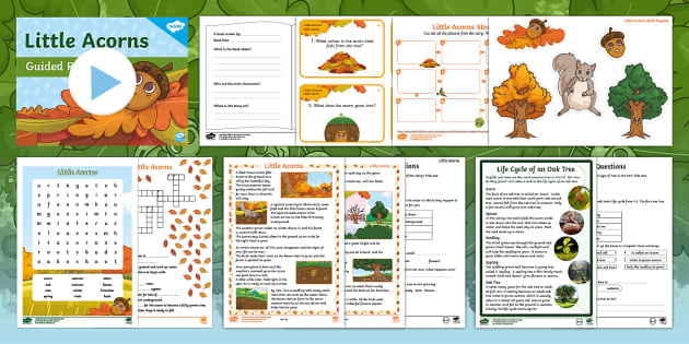 Little Acorns Guided Reading Pack (teacher made) - Twinkl