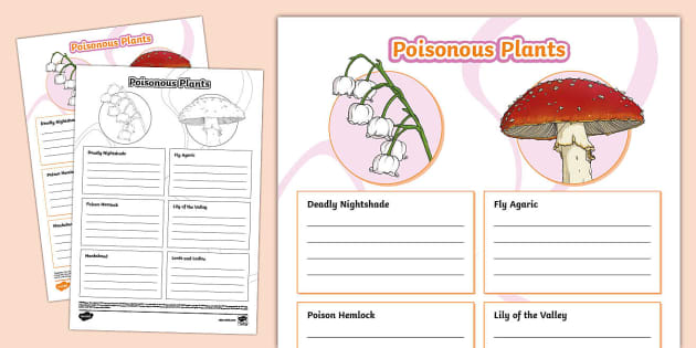 Poisonous Plants Fact File Template (creat de profesori)
