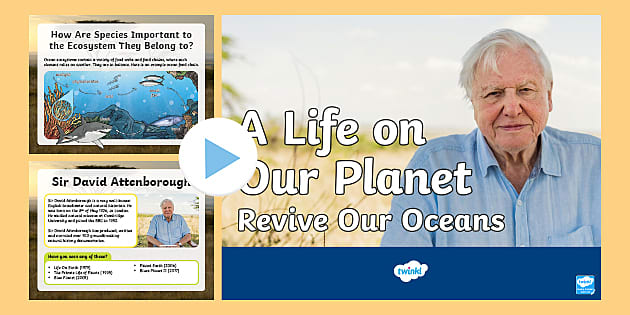FREE! - UKS2 A Life on Our Planet: Revive Our Oceans