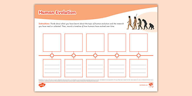 Human Evolution Timeline Worksheet (teacher made) - Twinkl