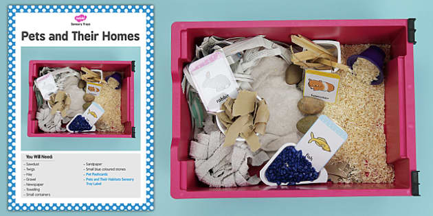 Pets and Their Homes Sensory Tray Card (teacher made)