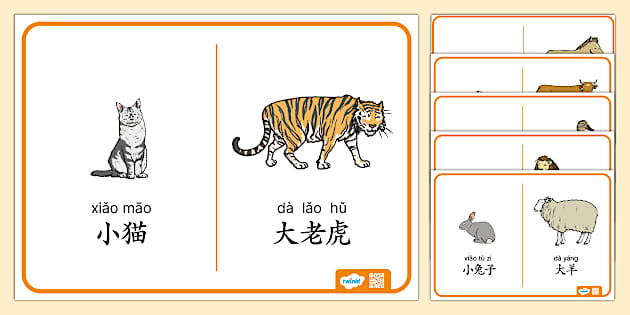 Singapore Mandarin with Pinyin Animals Size Comparison Posters