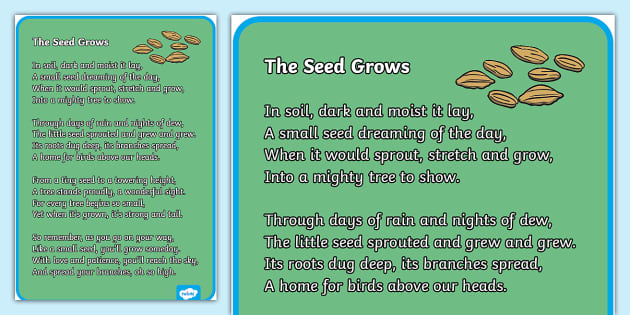 The Seed Grows Poem Example (Teacher-Made) - Twinkl