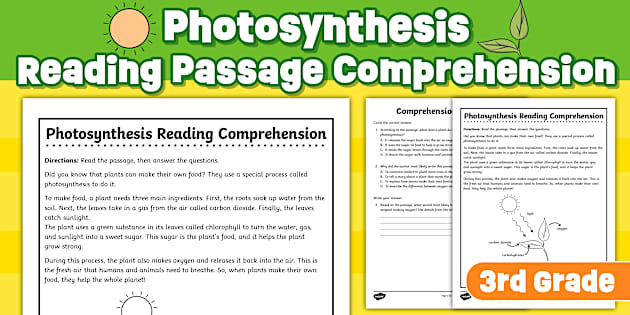 Third Grade Photosynthesis Reading Passage Comprehension Worksheet