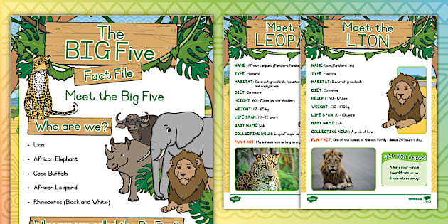 Gr 3: The Big Five: Fact File (ティーチャーメイド)