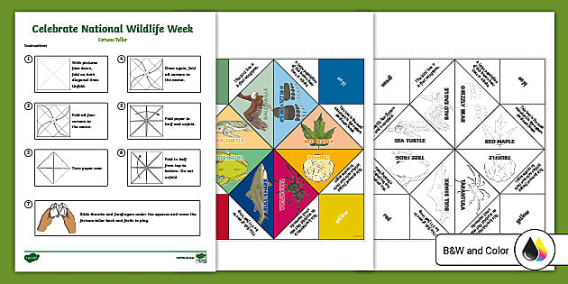 Celebrate National Wildlife Week Fortune Teller - Twinkl