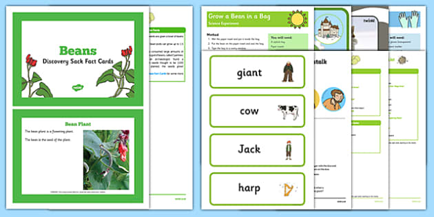 EYFS Jack and the Beanstalk Discovery Sack - Twinkl