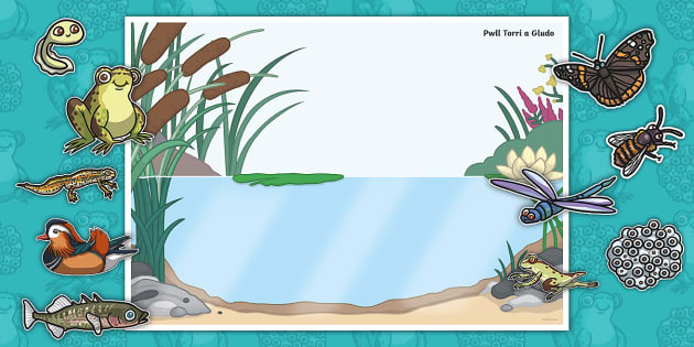 Gweithgaredd Torri a Gludo'r Pwll Dŵr (teacher made)