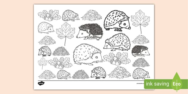 Hedgehog Doodle Colouring Page (teacher made) - Twinkl