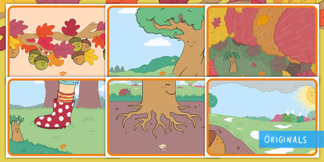 Little Acorns Display Posters (creat de profesori) - Twinkl