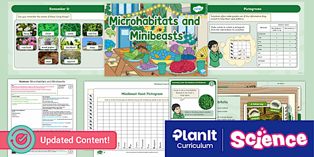 Science: Living Things & Their Habitats: Y2 Lesson 3