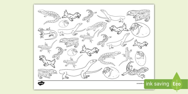 Lizard Doodle Colouring Page (Teacher-Made) - Twinkl