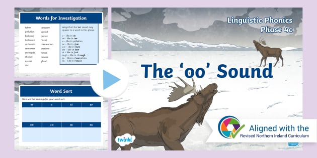 Linguistic Phonics Phase 4c 'oo' Sound PowerPoint