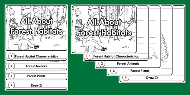 All About Forest Habitats Flipbook for K-2nd Grade - Twinkl