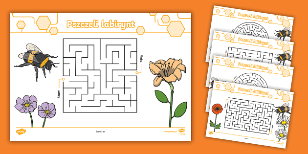 FREE! - Pszczeli labirynt | 5 kart pracy - Twinkl