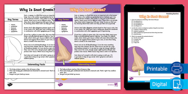 Fifth Grade Why Is Snot Green? Fact File and Vocabulary Questions