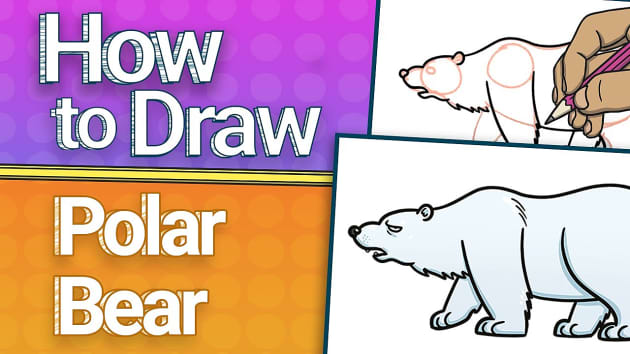 How to Draw a Polar Bear | Twinkl Kid's TV (teacher made)