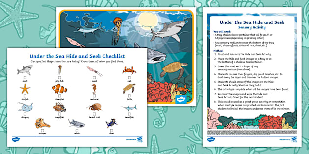 Under The Sea 'Hide and Seek' Sensory Activity - Twinkl