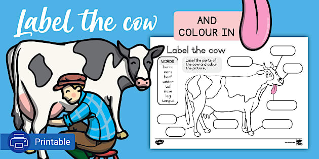 Grade R Life Skills - Worksheet: Label the Cow - Twinkl