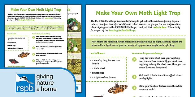 FREE! - Identifying Moths (Ages 7 - 11) (teacher made)