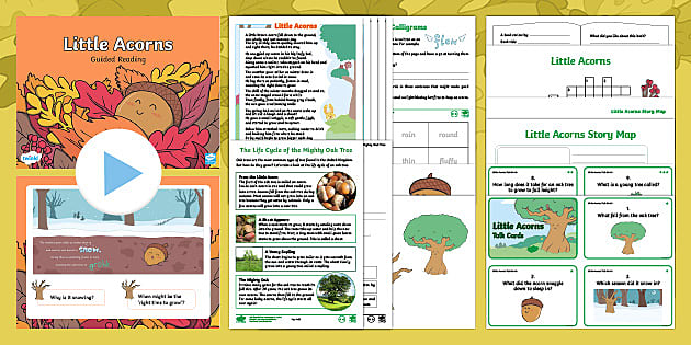 Little Acorns Guided Reading Pack (teacher made) - Twinkl