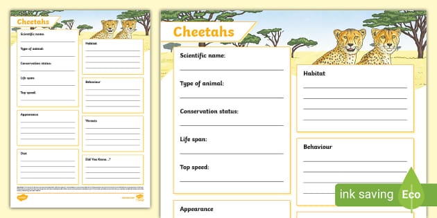 KS2 Cheetah Fact File Template (l'enseignant a fait)