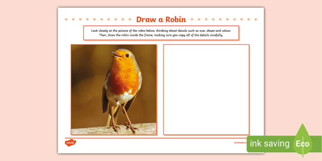 Draw a Robin Art Activity (Teacher-Made) - Twinkl