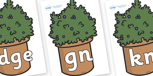 Silent Letters on Plants (Teacher-Made) - Twinkl