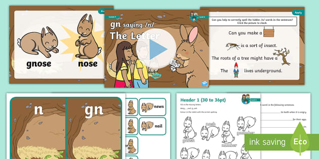 'gn' saying /n/ phoneme Lesson Plan - Level/ Phase 5 Wk4L3 - Twinkl Phonics