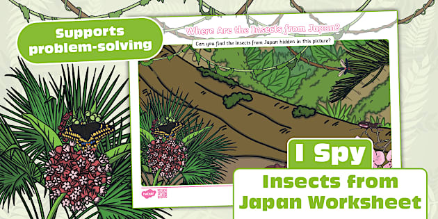 I Spy Insects from Japan Worksheet