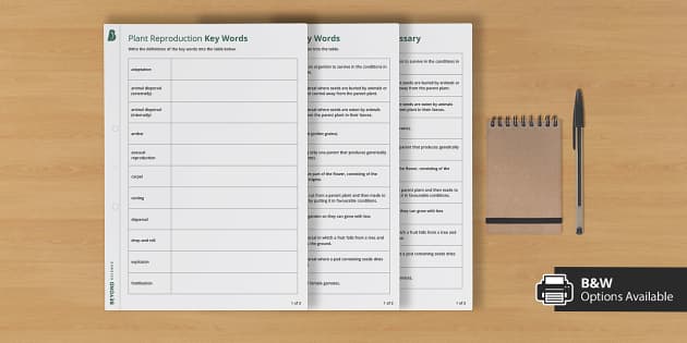 KS3 Plant Reproduction Key Words Activity Pack - Twinkl
