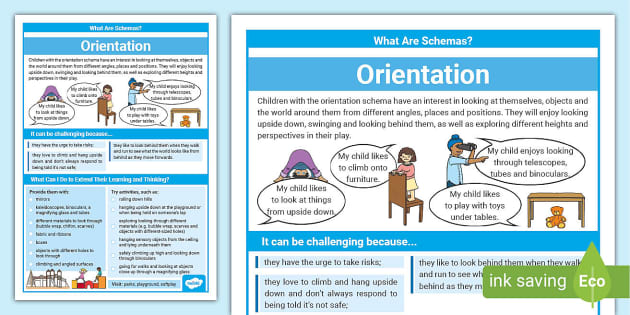 Orientation Schema Information Poster (teacher made)